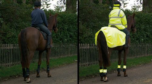 Horse Riders: Be Road Savvy, Be Seen, Be Protected | Digby Brown